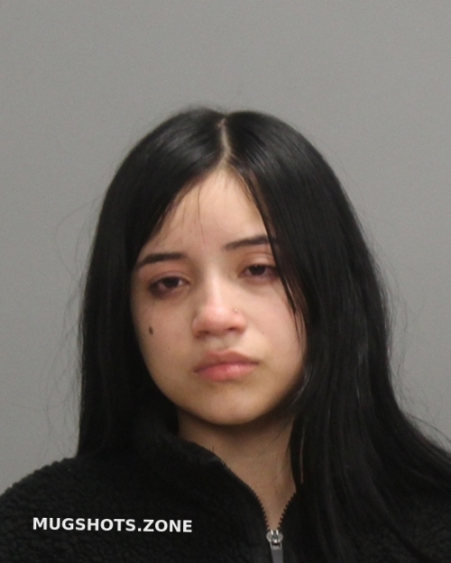 GARCIA AGUILAR CHELSI DANARI 04/05/2025 - Brazos County Mugshots Zone