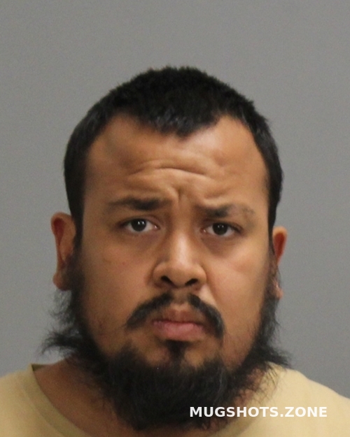 MALTOS MICHAEL ANTHONY 04/07/2025 - Brazos County Mugshots Zone