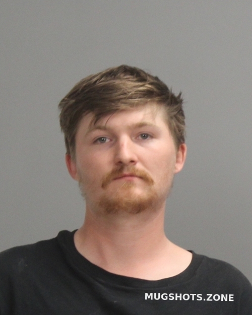 LONG CAMERON BLAKE 04/10/2025 - Brazos County Mugshots Zone