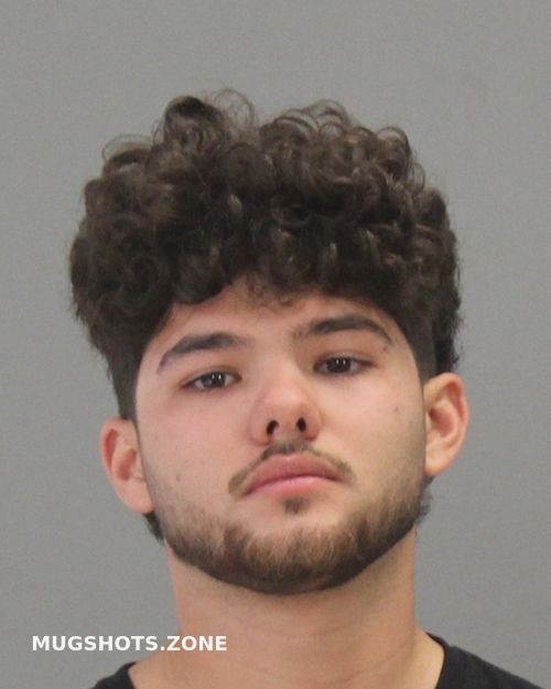 WITTEMORE REECE ALLEN 04/12/2025 - Brazos County Mugshots Zone