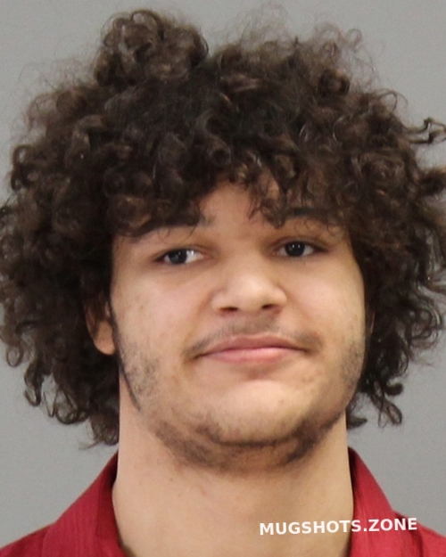 NEWTON DEVIN RAY 04/16/2025 - Brazos County Mugshots Zone