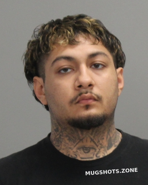 RAMOS ANGELO JAY 04/19/2025 - Brazos County Mugshots Zone