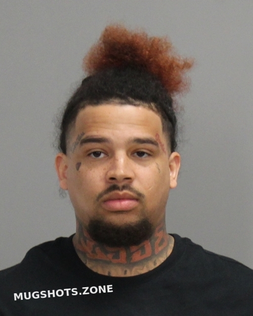 STRANGE JAMES RAY 04/19/2025 - Brazos County Mugshots Zone