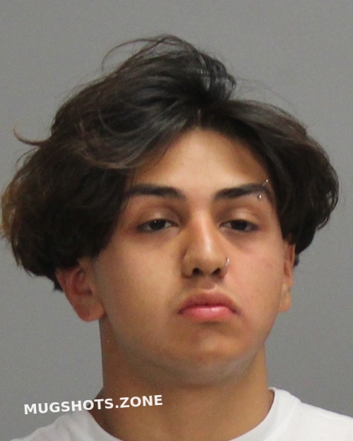 LOPEZ PEDRO 04/20/2025 - Brazos County Mugshots Zone