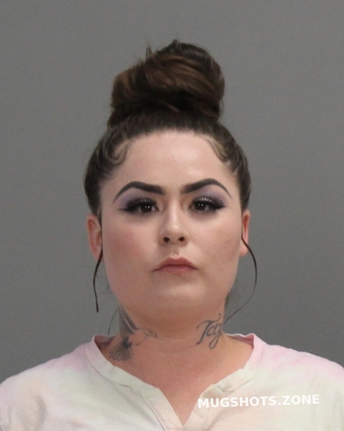 ROMAN SKYE 04/23/2025 - Brazos County Mugshots Zone