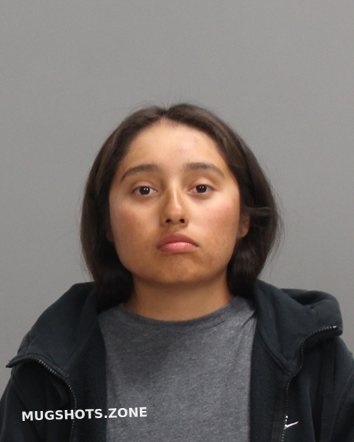 GUADARRAMA PERLA 05/02/2025 - Brazos County Mugshots Zone