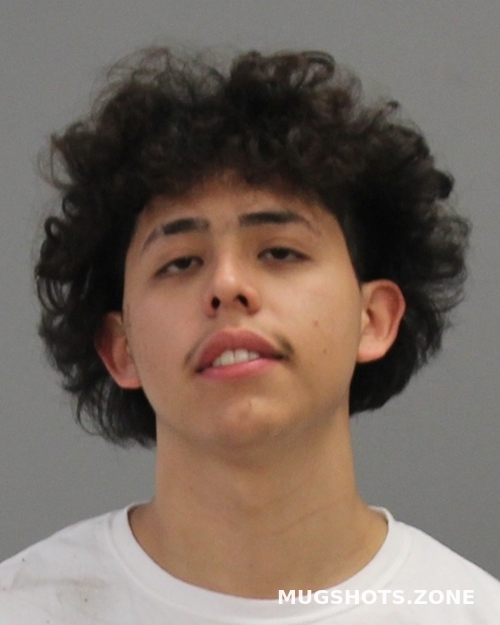 RUTIAGA REILEY 05/03/2025 - Brazos County Mugshots Zone