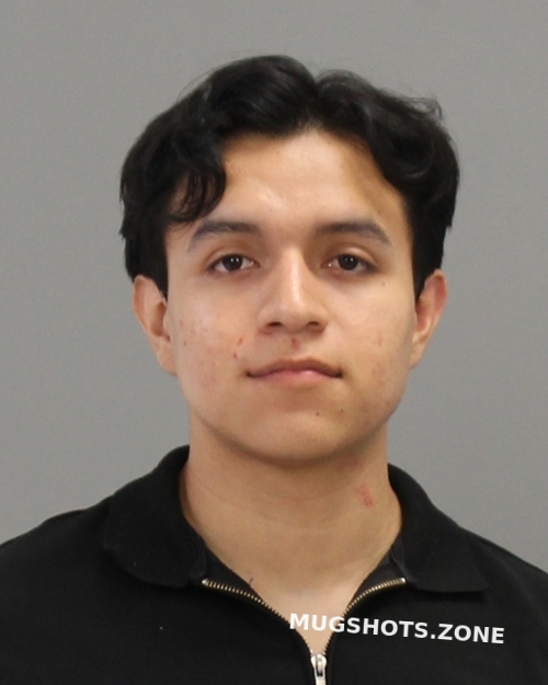 FLORES ALAN 05/07/2025 - Brazos County Mugshots Zone