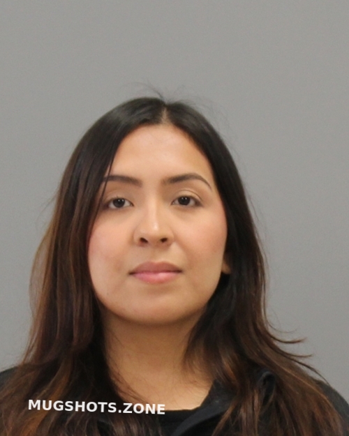 TELLO ESTEFANI 05/13/2025 - Brazos County Mugshots Zone