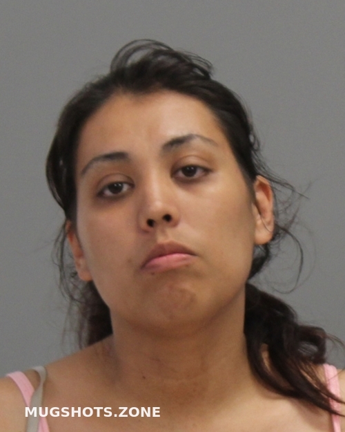 ENCISO TERESA 05/16/2025 - Brazos County Mugshots Zone
