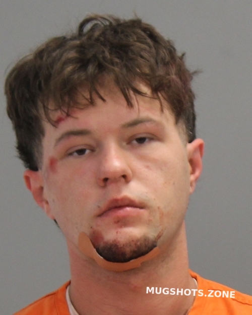 WILLIAMS TYLER DEAN 05/18/2025 - Brazos County Mugshots Zone