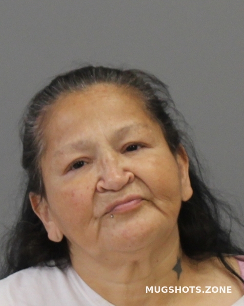 RIVERA THERESA ANN 05/26/2025 - Brazos County Mugshots Zone
