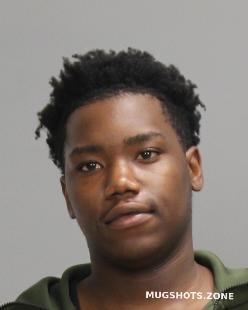 JOHNSON DARRIS DAQUAN 05/29/2025 - Brazos County Mugshots Zone