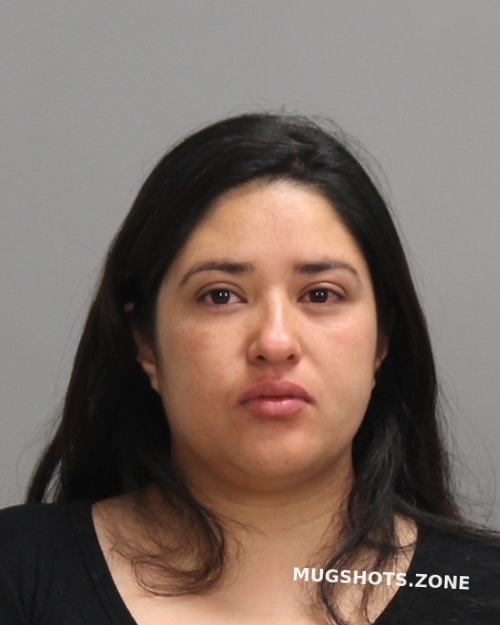 GOMEZ BANESSA 06/02/2025 - Brazos County Mugshots Zone