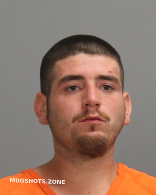 REYES CHRISTOPHER MICHAEL 06/03/2025 - Brazos County Mugshots Zone
