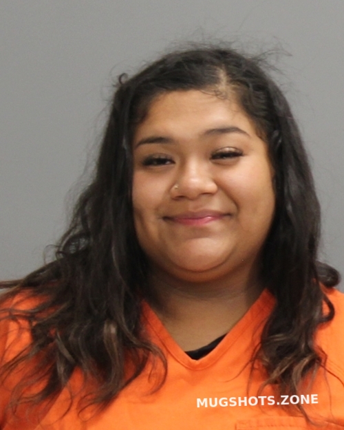 ROMERO ARELY 06/13/2025 - Brazos County Mugshots Zone