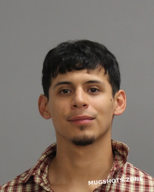 VILLARREAL ANGEL AUSTIN 06/15/2025 - Brazos County Mugshots Zone