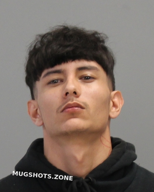 CASTILLEJA NICHOLAS GABRIEL 06/16/2025 - Brazos County Mugshots Zone