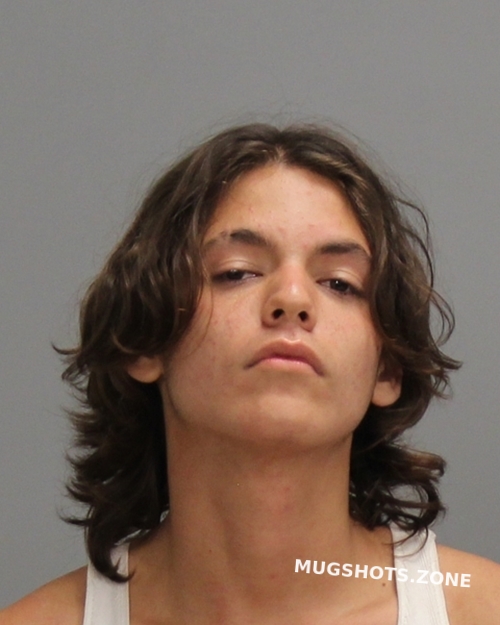 GUTIERREZ JAYDEN MITCHELL 06/18/2025 - Brazos County Mugshots Zone