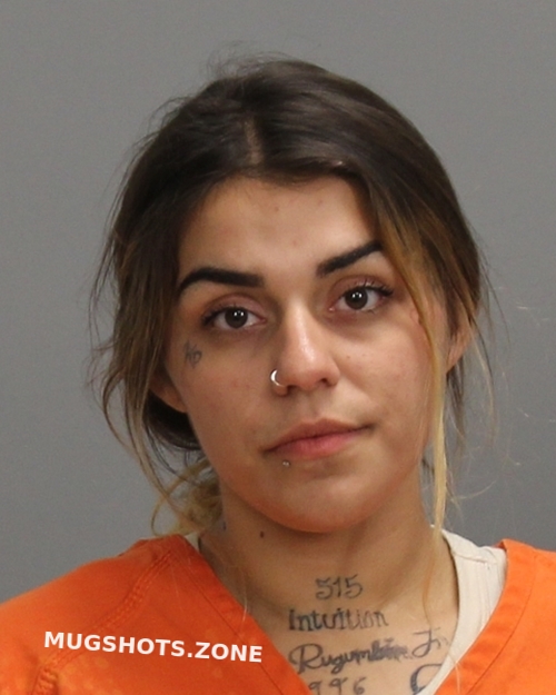 WEST KERSTIN 06/20/2025 - Brazos County Mugshots Zone