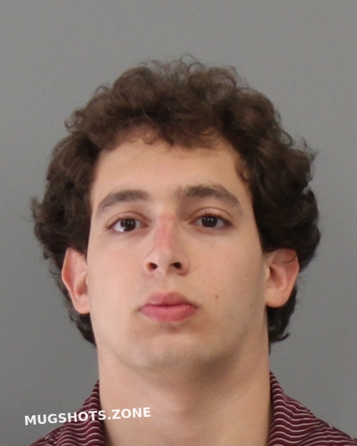HUSSEINI ZAID MAHER 06/22/2025 - Brazos County Mugshots Zone