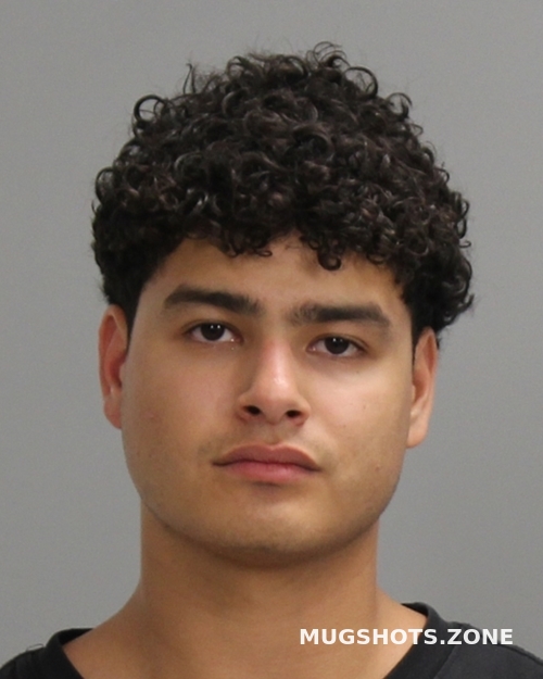 FARISH NICHOLAS ROGER 06/22/2025 - Brazos County Mugshots Zone