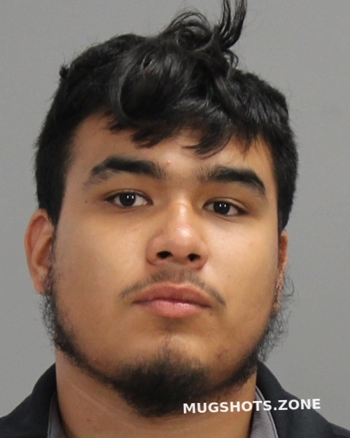 ARELLANO JESSE 06/22/2025 - Brazos County Mugshots Zone