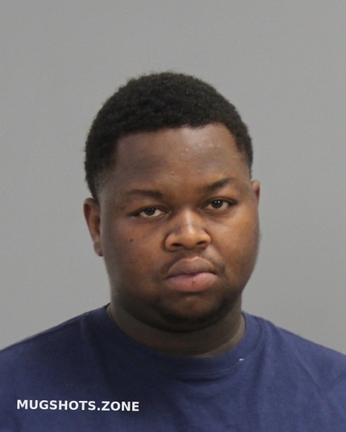 WALLACE NATHAN CARL 06/25/2025 - Brazos County Mugshots Zone