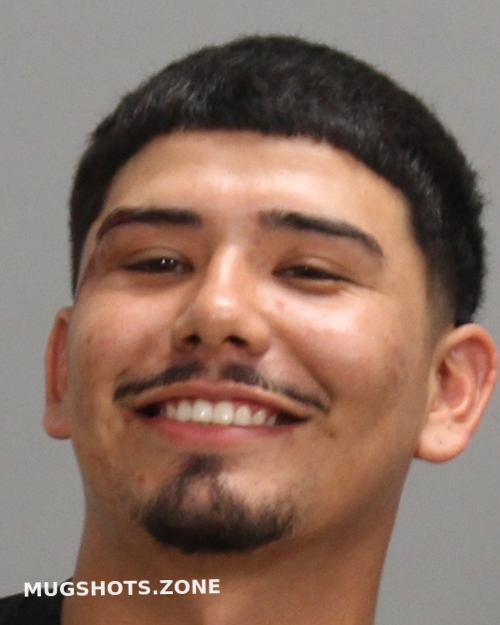 REYES SAMUEL XAVIER 06/28/2025 - Brazos County Mugshots Zone