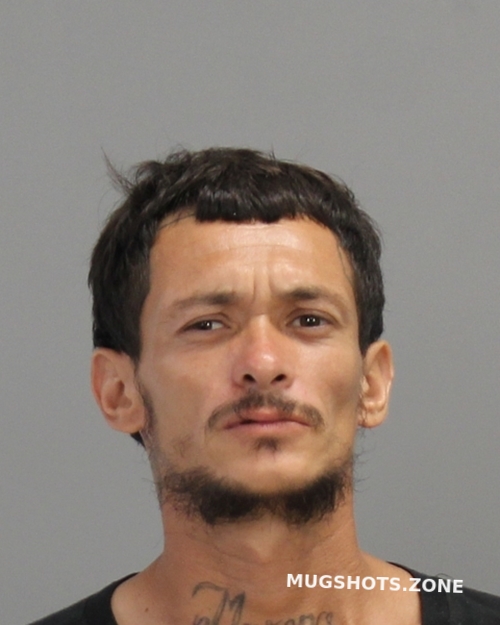 MORENO MIGUEL ANGEL 06/28/2025 - Brazos County Mugshots Zone