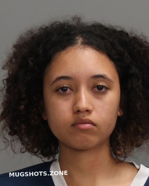 NORRIS GABRIELLE FAY 06/30/2025 - Brazos County Mugshots Zone