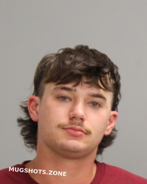 ANSLEY CONNOR LEE 07/06/2025 - Brazos County Mugshots Zone