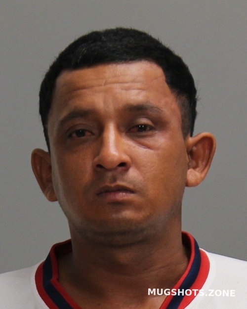 PINEDA HERNANDEZ LUIS RODOLFO 07/09/2025 - Brazos County Mugshots Zone