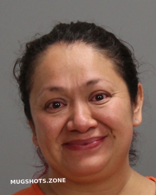 BALDERAS ELVIA MARISOL 07/13/2025 - Brazos County Mugshots Zone
