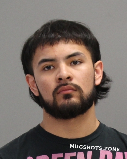 LOPEZ NATHANIEL ANDREW 07/22/2025 - Brazos County Mugshots Zone