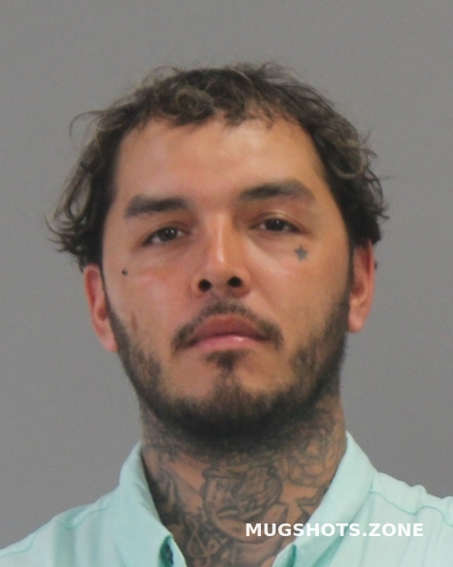 GOLDEN DYLAN JAMES 07/30/2025 - Brazos County Mugshots Zone