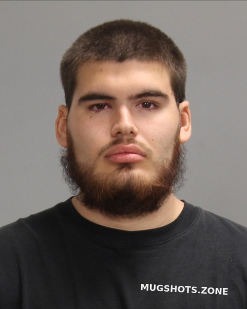 ALVAREZ AYDEN ANTONIO 08/25/2025 - Brazos County Mugshots Zone
