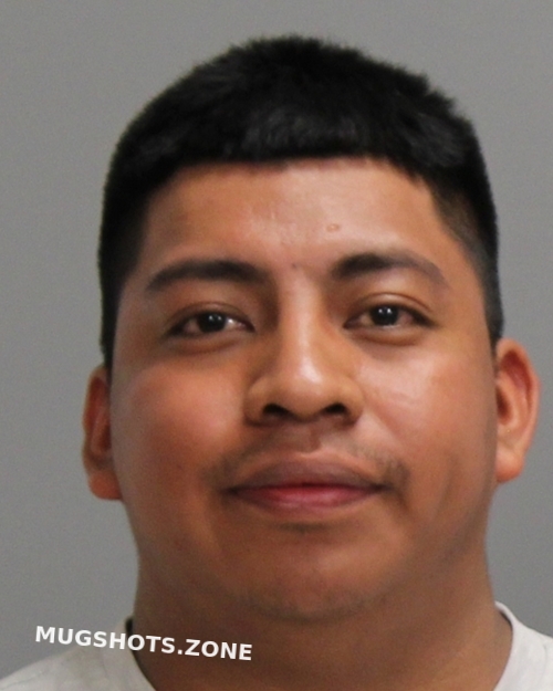 TUMAX CUA LUIS MIGUEL 09/13/2025 - Brazos County Mugshots Zone
