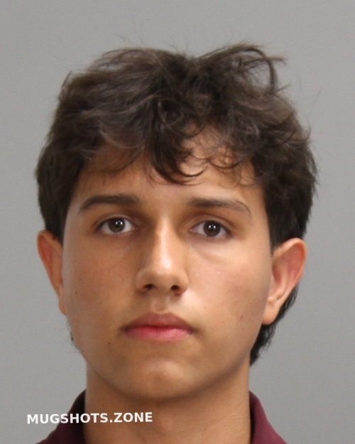 PEDRAZA SILVA CESAR LUIS 09/14/2025 - Brazos County Mugshots Zone