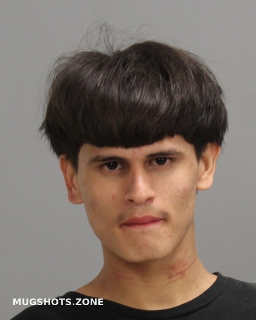 RAMIREZ NATHAN JOEL 09/26/2025 - Brazos County Mugshots Zone