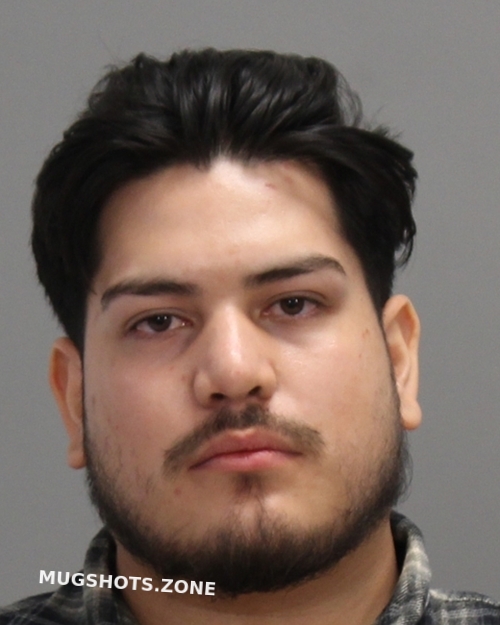CASTILLO EDGAR JESUS 11/08/2025 - Brazos County Mugshots Zone