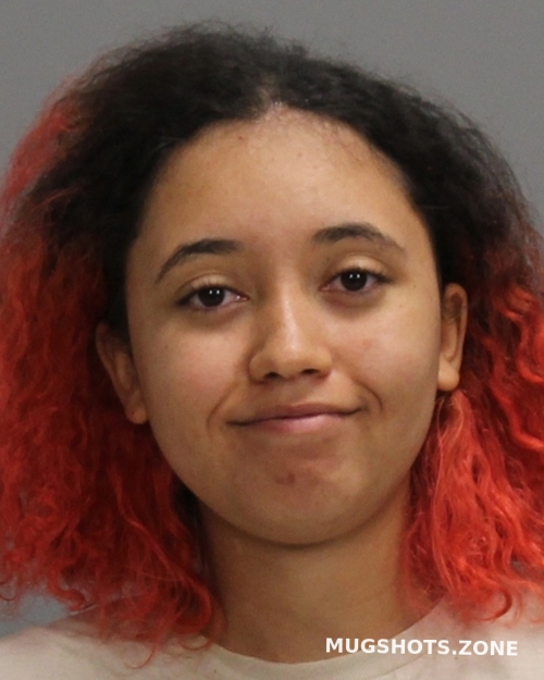 NORRIS GABRIELLE FAY 11/14/2025 - Brazos County Mugshots Zone
