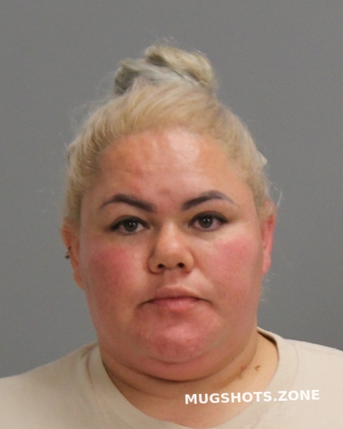 BADILLO LAURA ARELLY 11/21/2025 - Brazos County Mugshots Zone