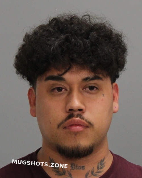 BARRON LOREDO MARIO 11/22/2025 - Brazos County Mugshots Zone
