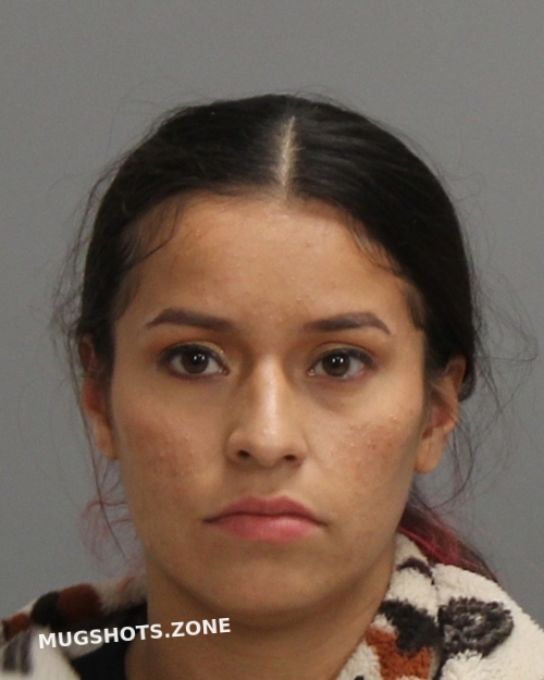 ESCOBEDO VERONICA 11/23/2025 - Brazos County Mugshots Zone