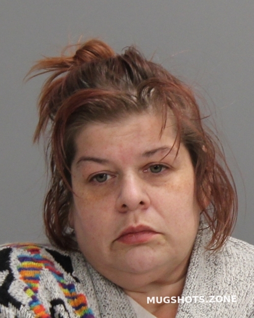 DAIGLE HEATHER RENEE 12/10/2025 - Brazos County Mugshots Zone