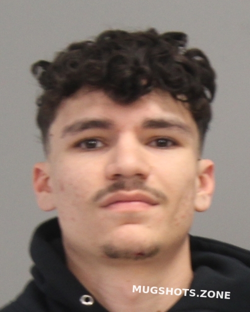 JOHNSON TRAVIS ROBERT 01/10/2026 - Brazos County Mugshots Zone