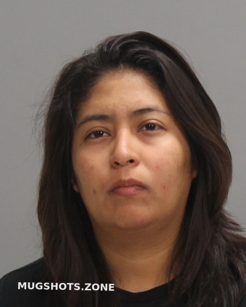 PALAFOX GOMEZ JENNIFER 01/12/2026 - Brazos County Mugshots Zone