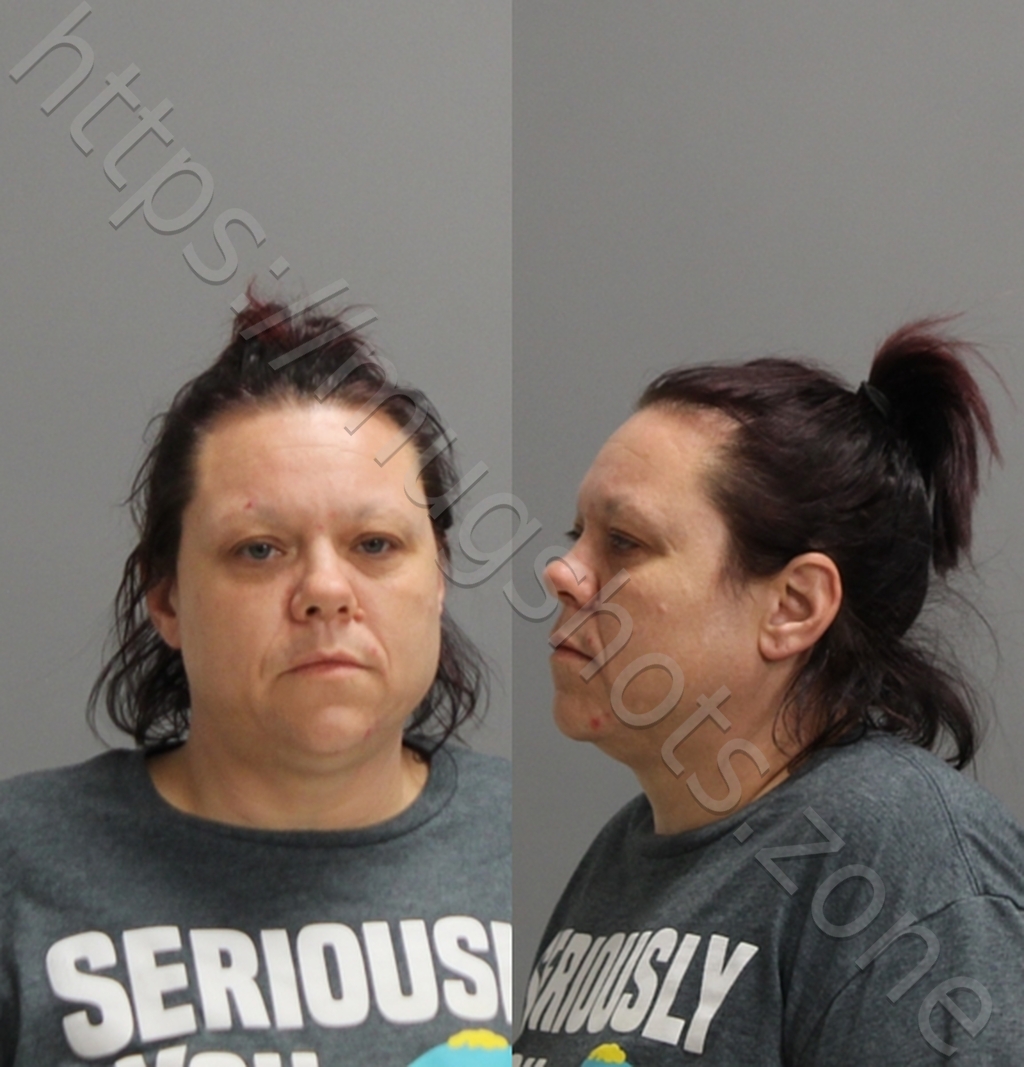 MAXWELL CALLIE MAE 03/29/2026 - Brazos County Mugshots Zone