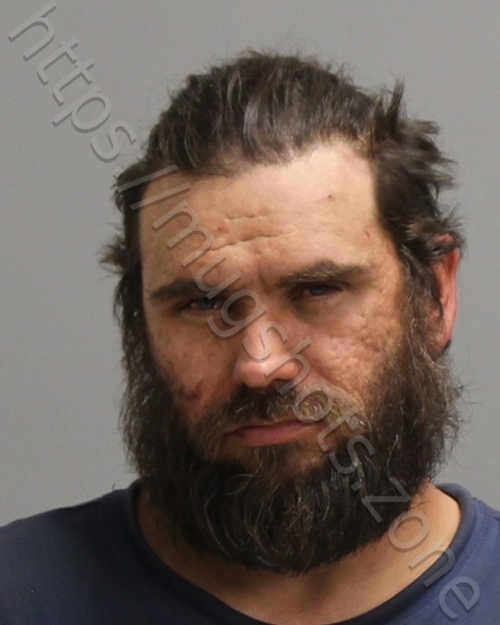 STEIN ADAM WAYNE 03/29/2026 - Brazos County Mugshots Zone